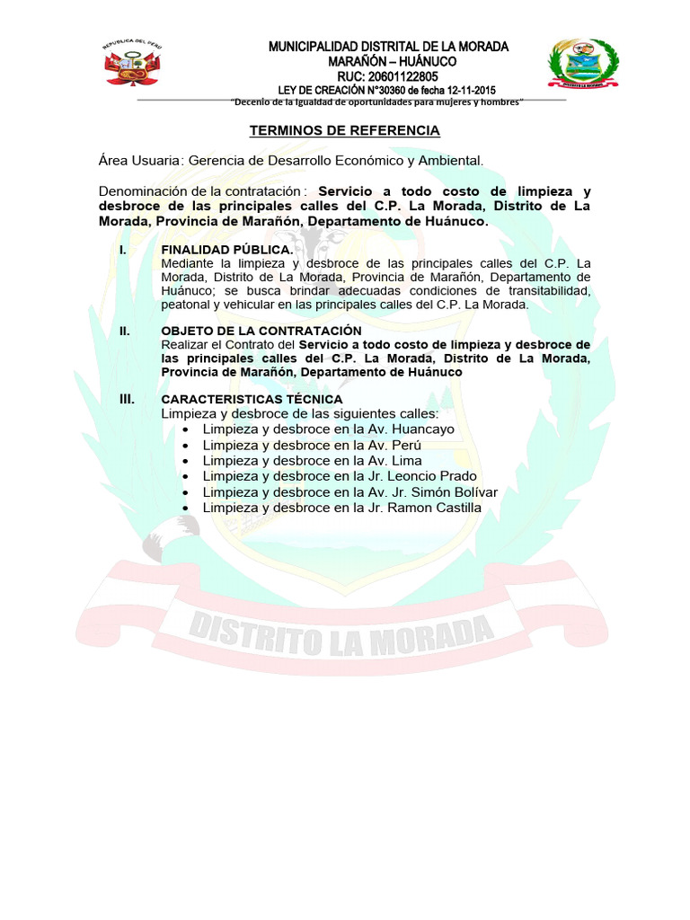 TDR Limpieza de Calles | PDF | Corrupción política