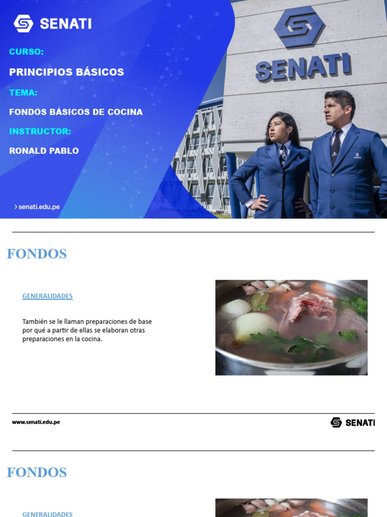 9.1 FONDOS BASICOS | PDF | Cocinando | Alimentos
