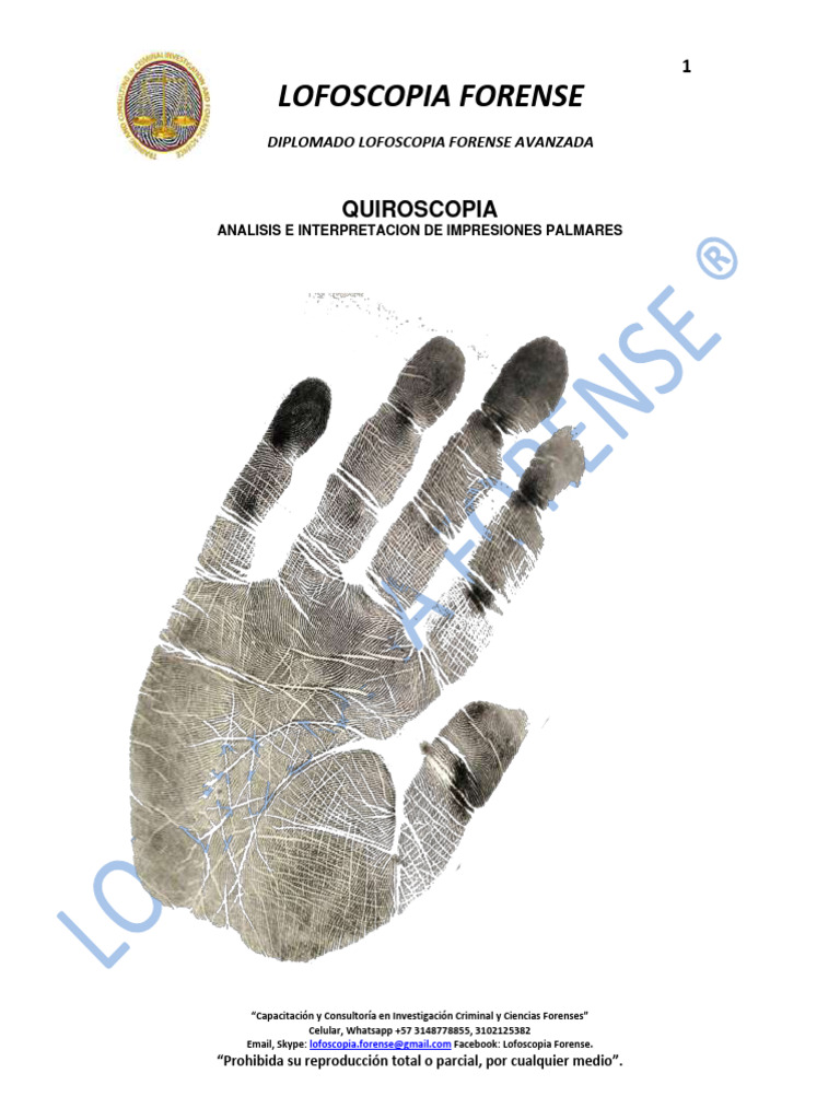 Manual de quiroscopia, 2017, version 2 | Descargar gratis PDF | Sistema ...