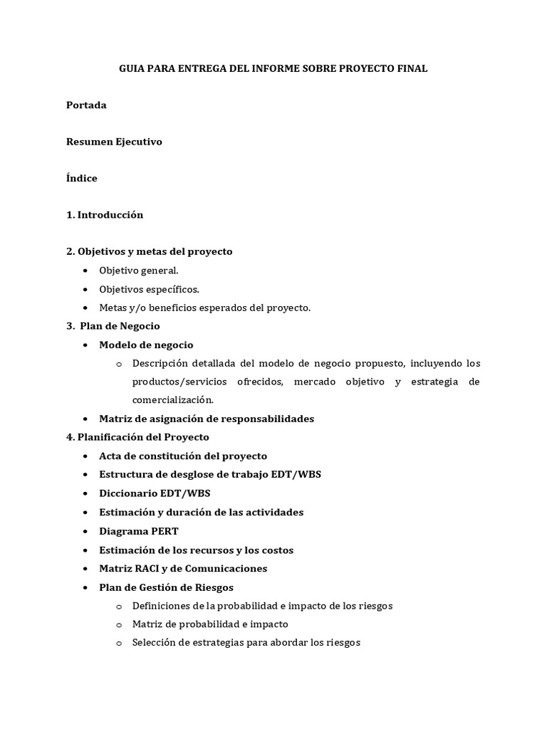Guía Del Informe para Proyecto Final | PDF