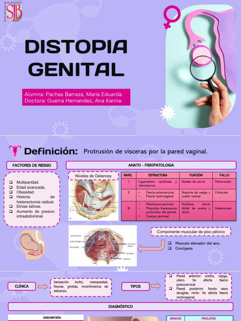 DISTOPIA | PDF | Pelvis | Anatomia sexual
