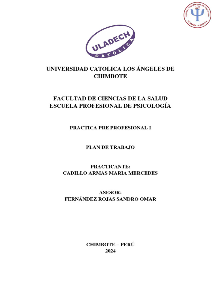 Cadillo Armas Maria-Plan de Trabajo | PDF | Las emociones | Comportamiento