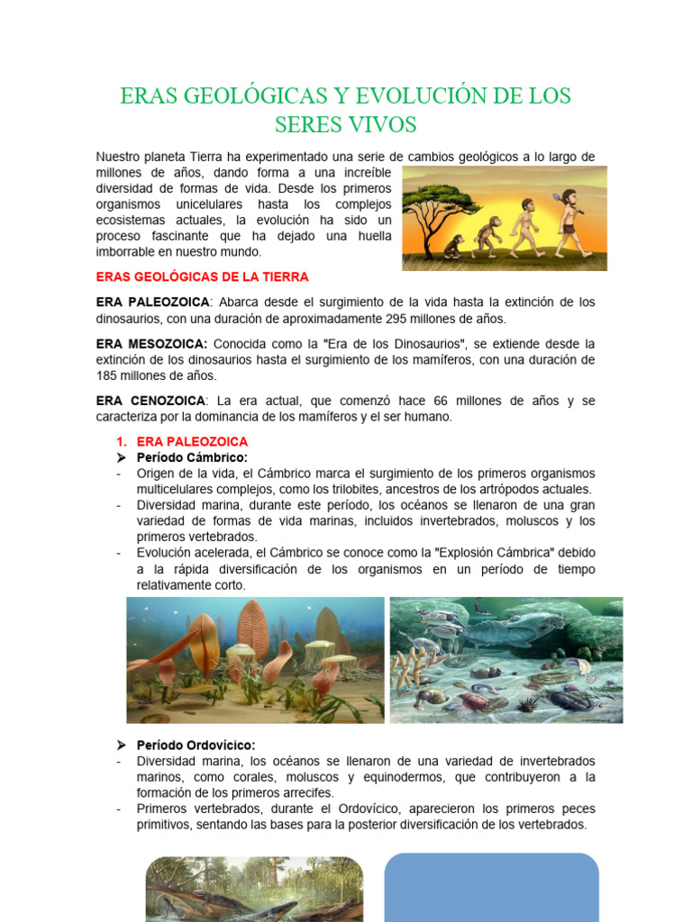 ERAS GEOLÓGICAS Y EVOLUCIÓN DE LOS SERES VIVOS grupo 1 | PDF | Escala de tiempo geológico ...
