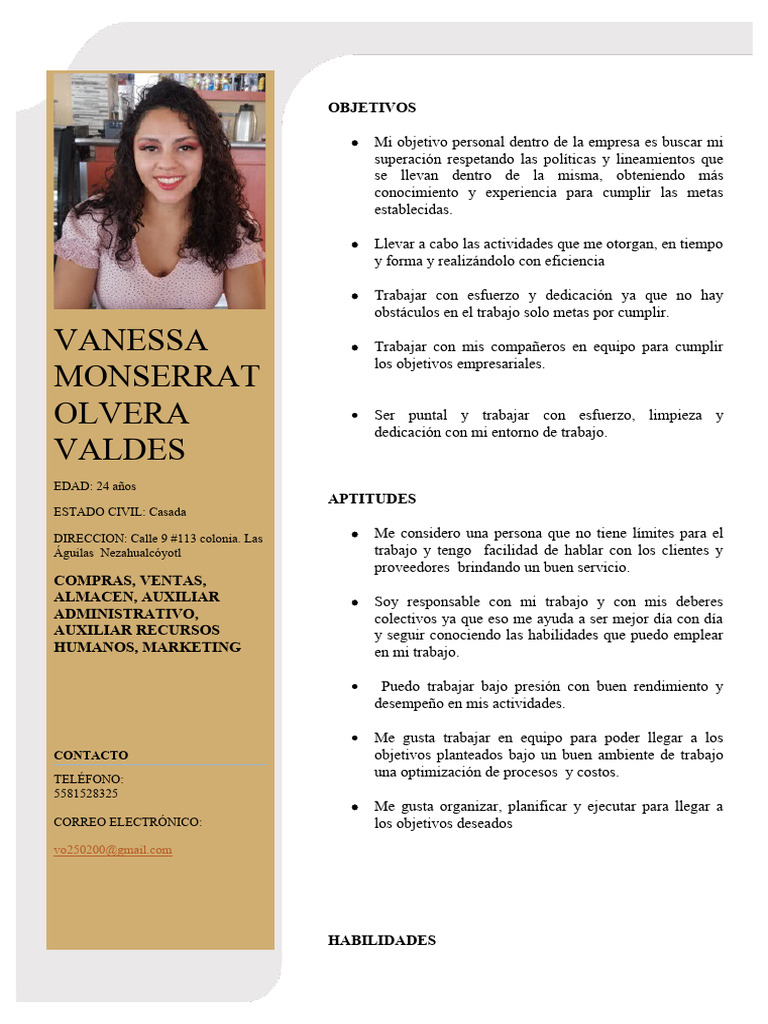 CV Vanessa (2024 | Descargar gratis PDF | Business | Negocios económicos