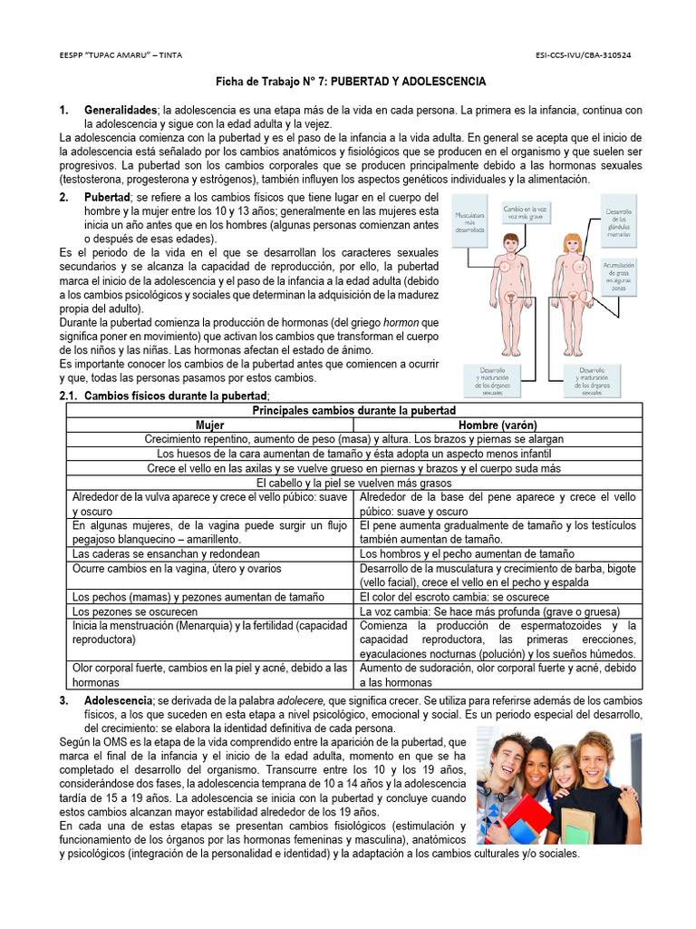 Clase 7-Pubertad y Adolescencia | PDF | Adolescencia | Pubertad
