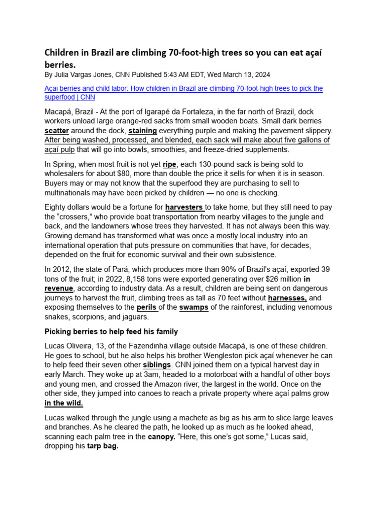 ADV 3 or 4 Children in Brazil Are Climbing Report | PDF | Social Science