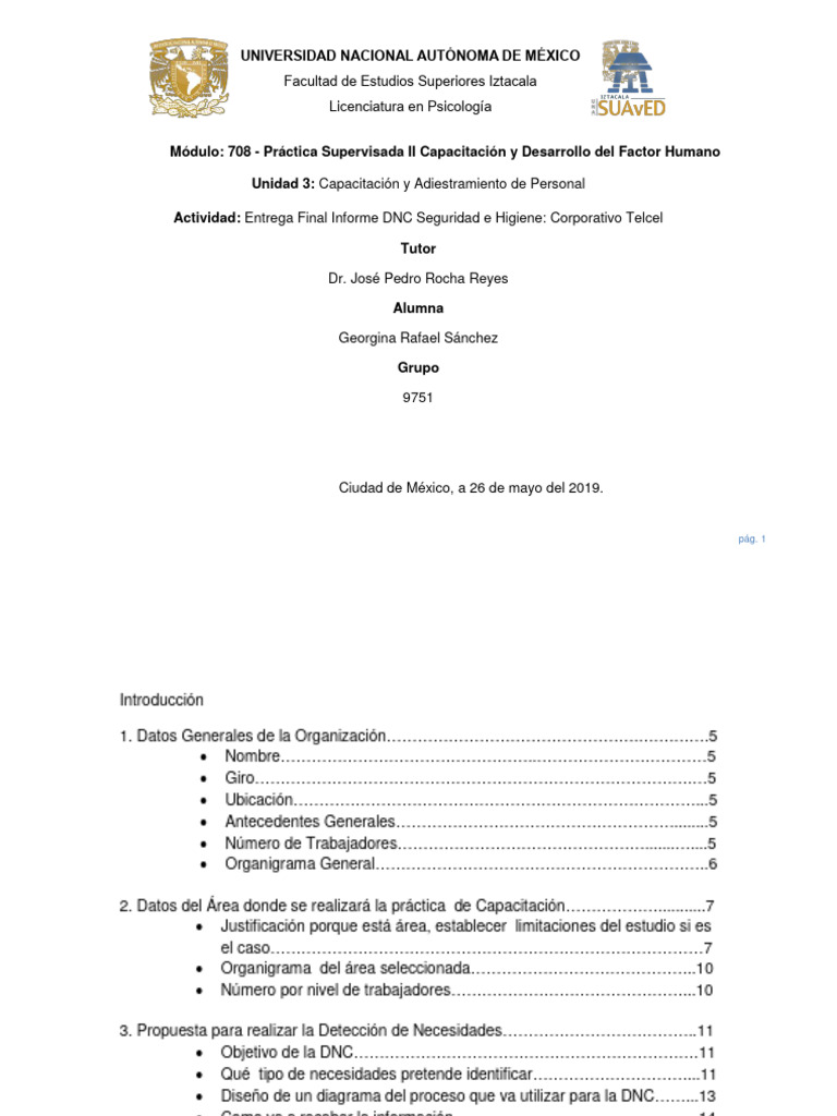 Rafael Georgina - Actividad - Trabajo Final | PDF | Gestión de recursos humanos | Business