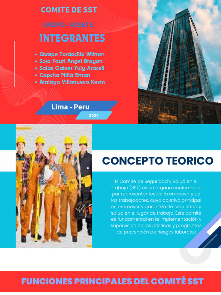 Comite de Sst | PDF | Hospital | Business