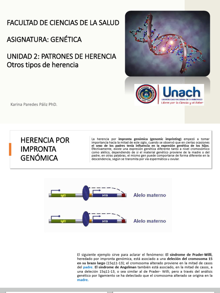 Clase 8 - Otros Tipos de Herencia | PDF | Gene | Herencia