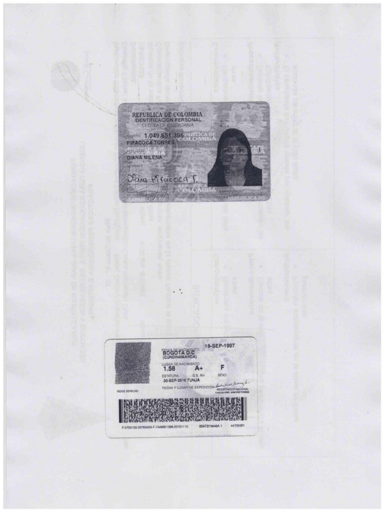 Piracoca Torres Diana Milena | PDF