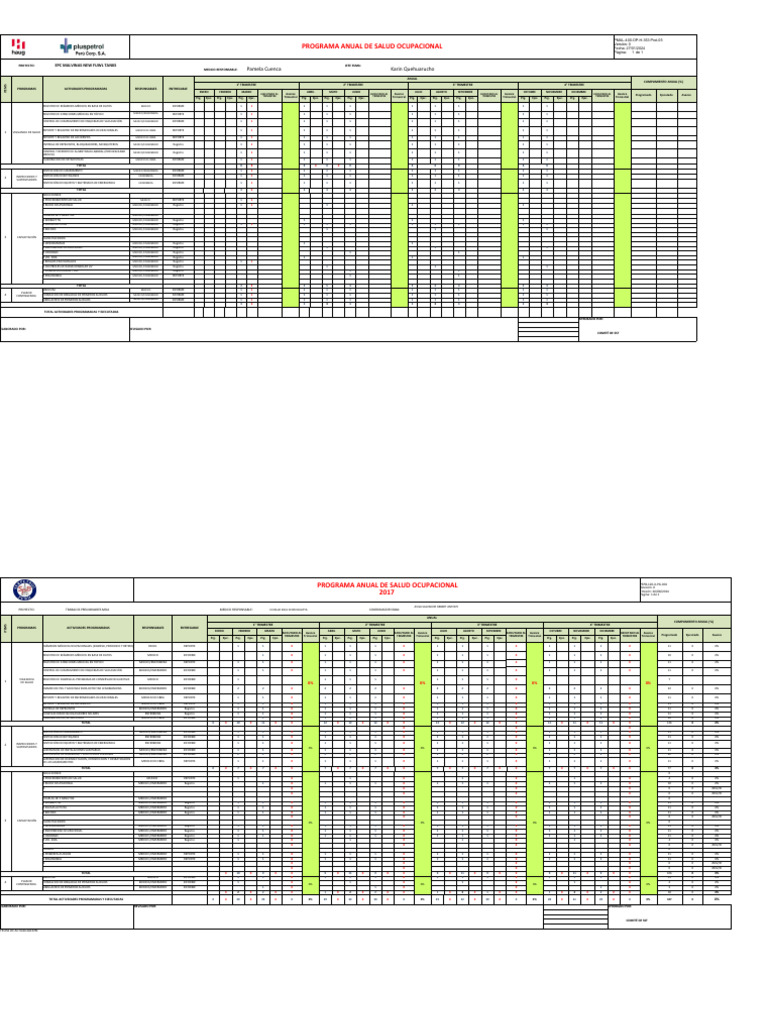 Prog Anual de Salud Ocup | PDF | Inmunología | Medicina