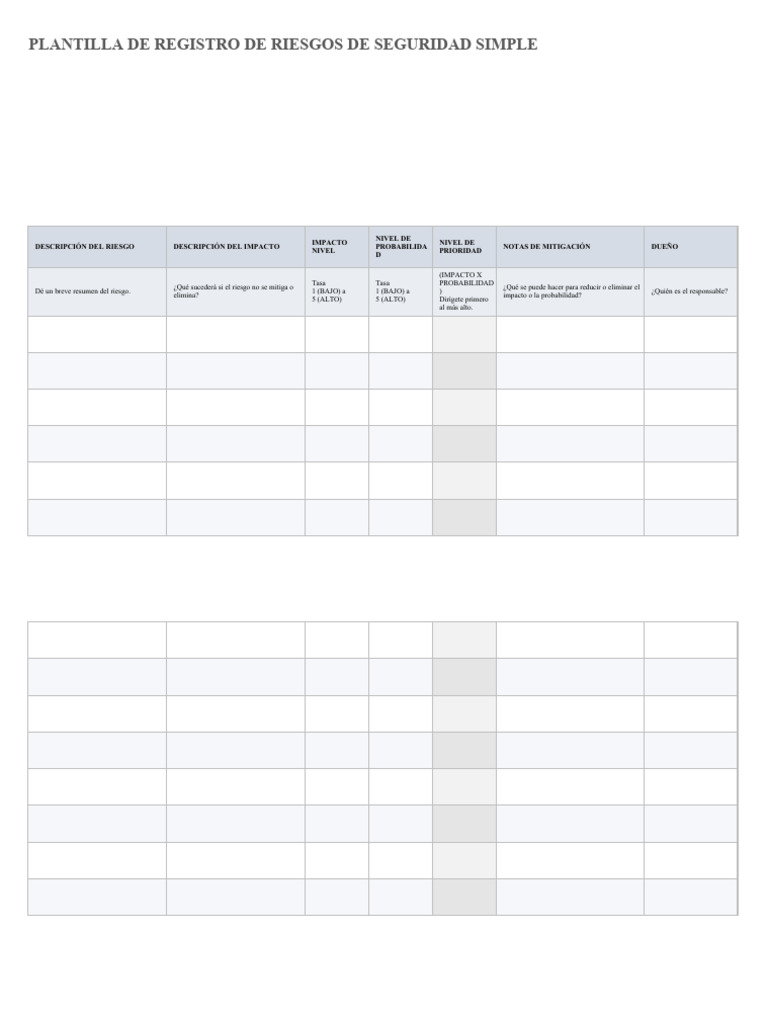 Plantilla de Registro de Riesgos de Seguridad | PDF