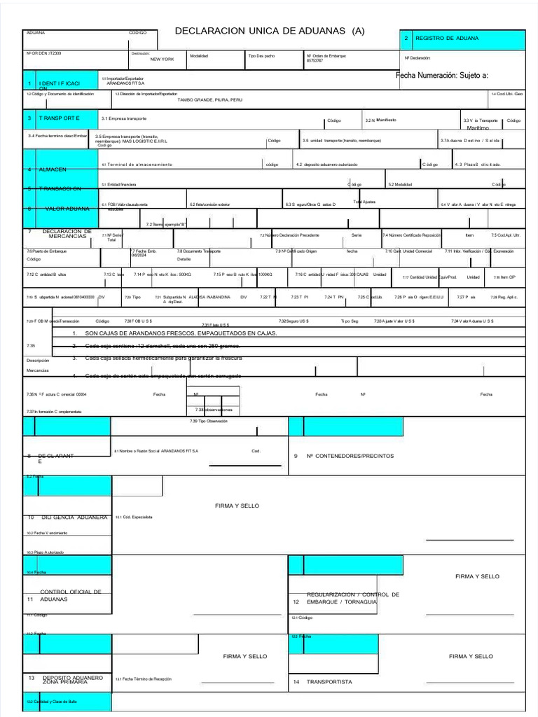 Formatos de Dam | PDF | Importaciones | Exportaciones