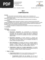 CAE Constatacion | PDF