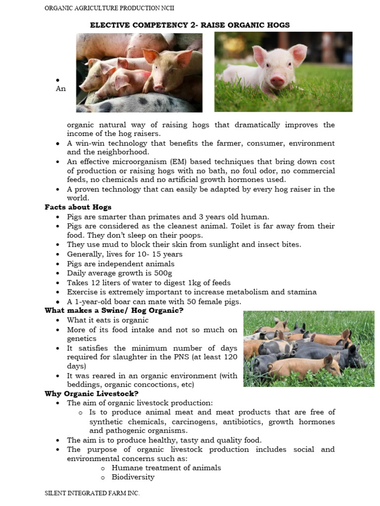 EC1 Raise Organic Hogs Updated | Download Free PDF | Pig | Cereals