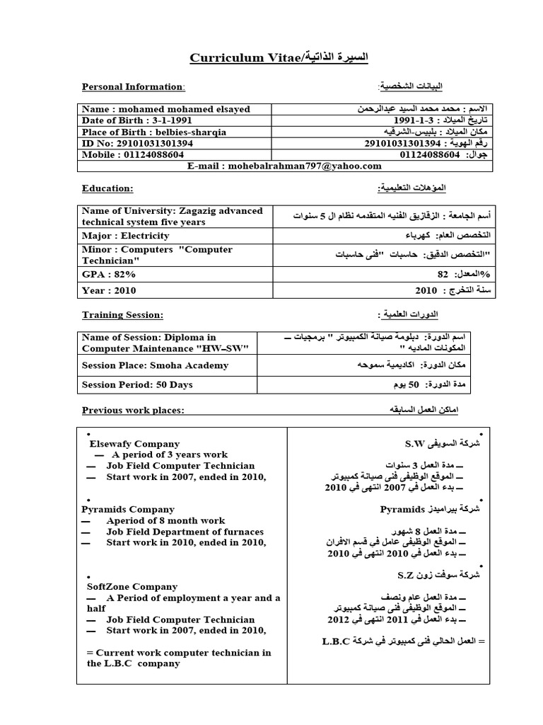 Old CV | PDF