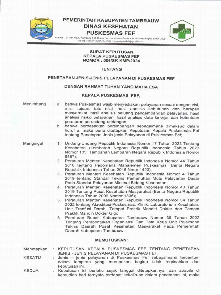 SK Penetapan Jenis-Jenis Pelayanan Di Puskesmas Fef | PDF