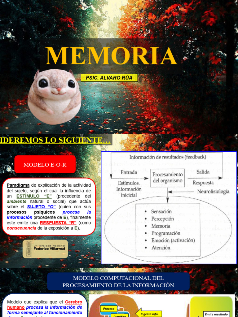 Memoria | PDF | Memoria | Amnesia