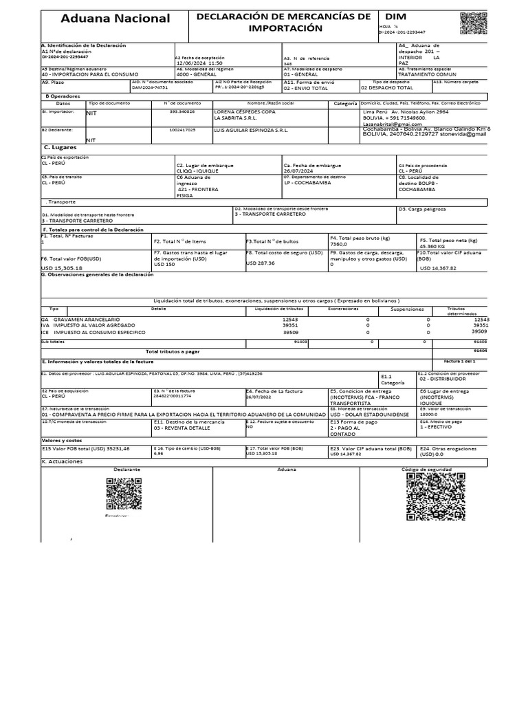 Declaracion de Importacion-1 | PDF | Dólar de los Estados Unidos | Economias