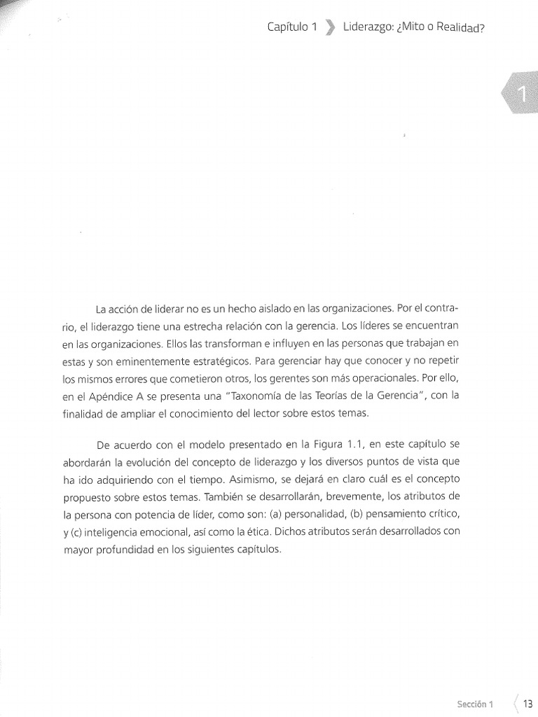 Liderazgo D! Alesio | PDF