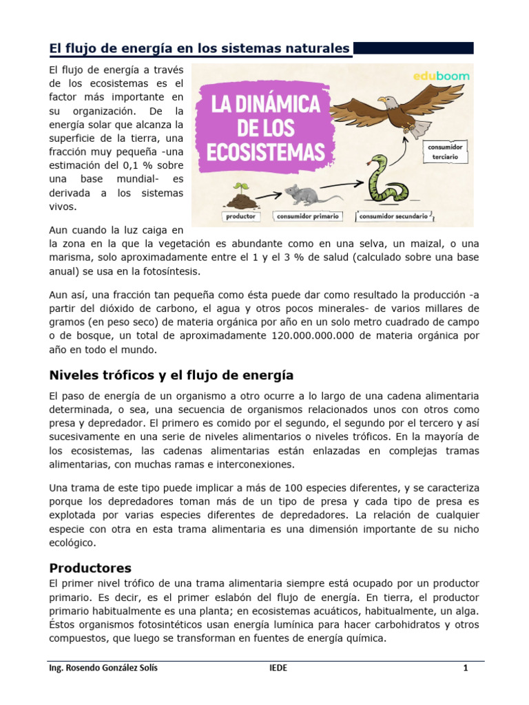 Flujo de Energía en Sistemas Naturales | PDF | Biomasa (Ecología ...