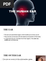 Human Ear Diagram Labelled Structure, Parts and Functions Vedantu | PDF ...