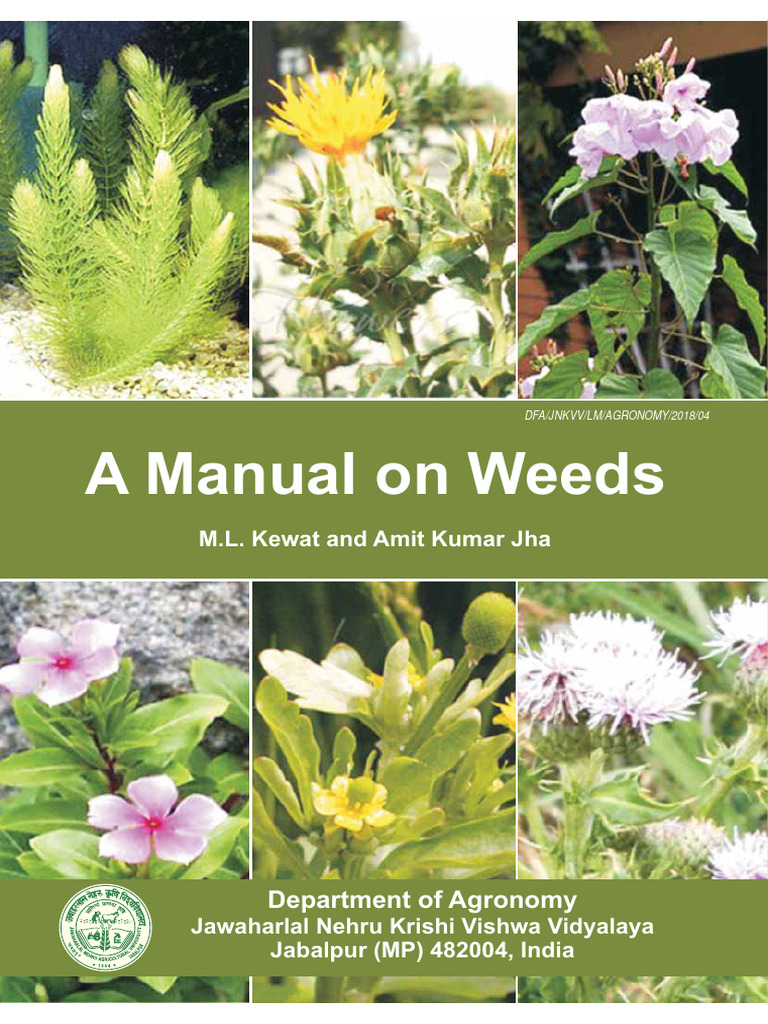Tricky Agriculture Weed Manual JNKVV | PDF | Leaf | Plant Morphology