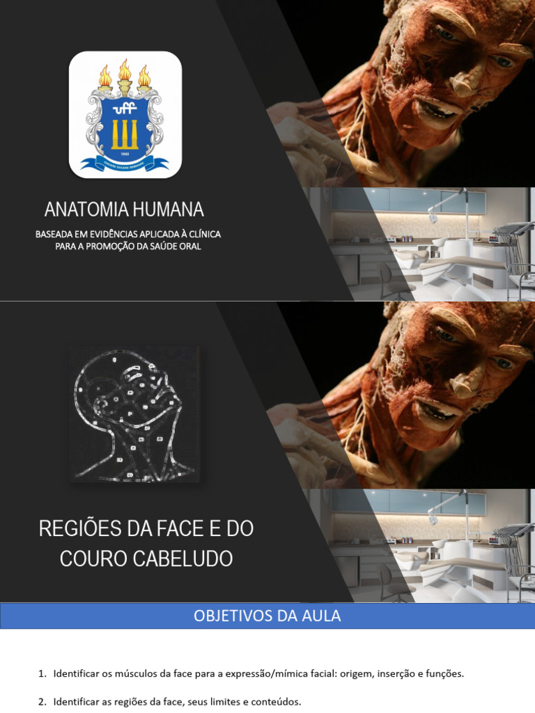 REGIÕES DA FACE E COURO CABELUDO | PDF | Rosto | Anatomia