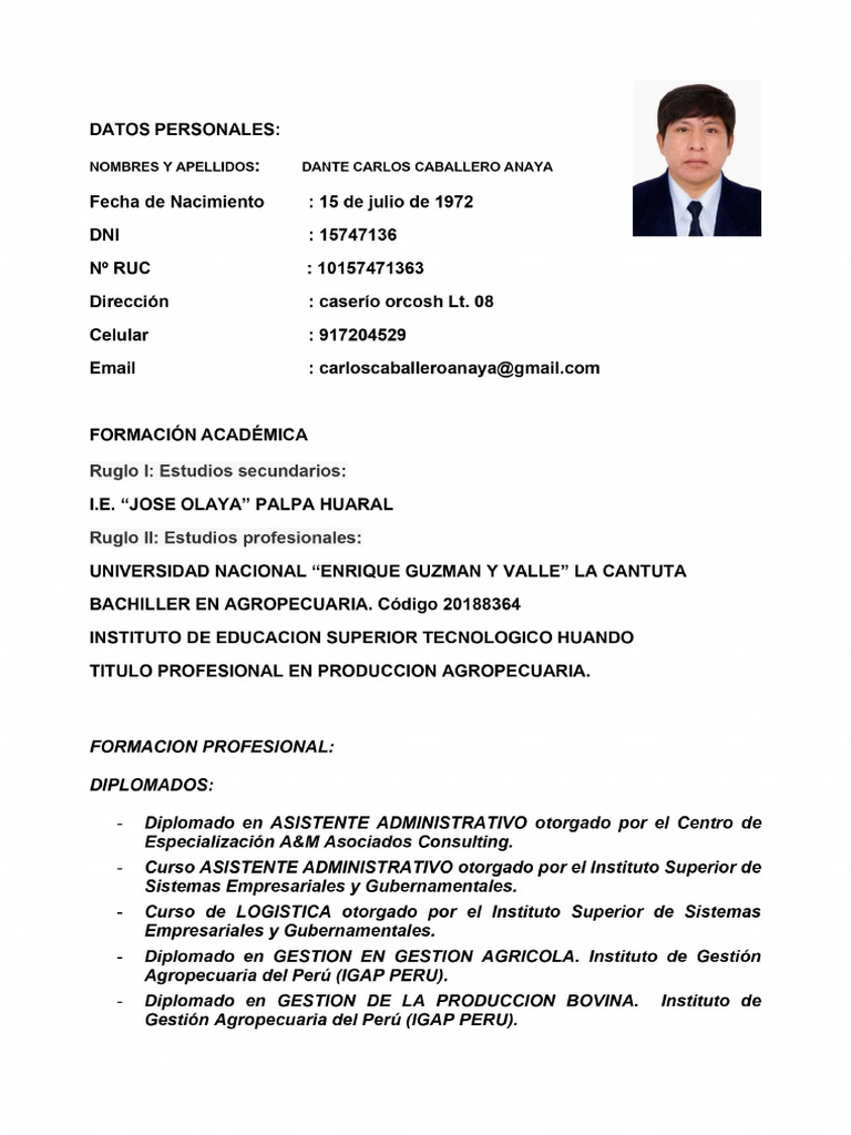 CV - Carlos 15-05-24 | PDF