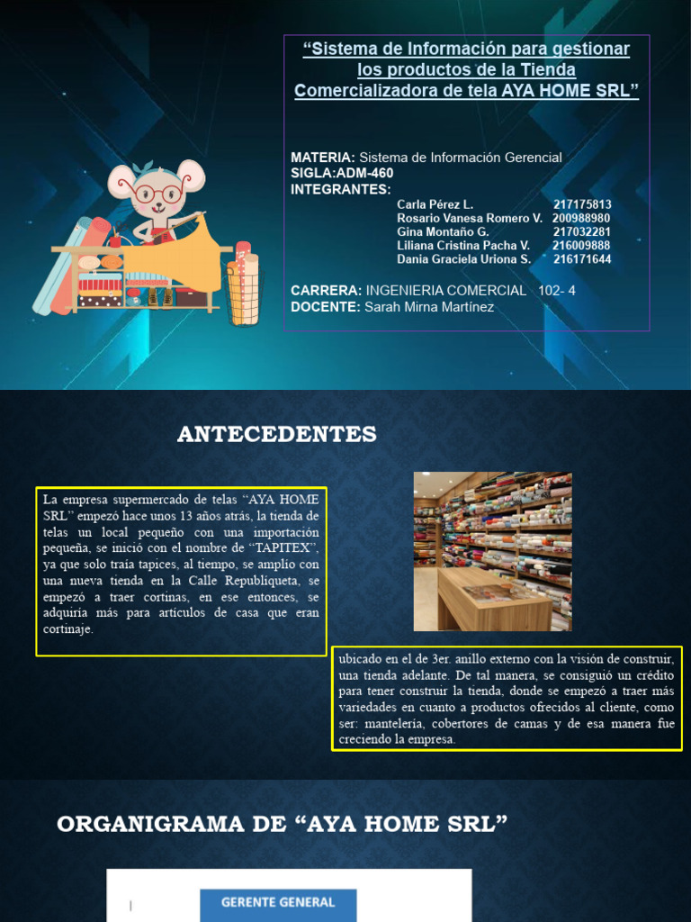 Proyecto Sistemas para Empresa AYA HOME SRL | PDF | Software | Bases de datos