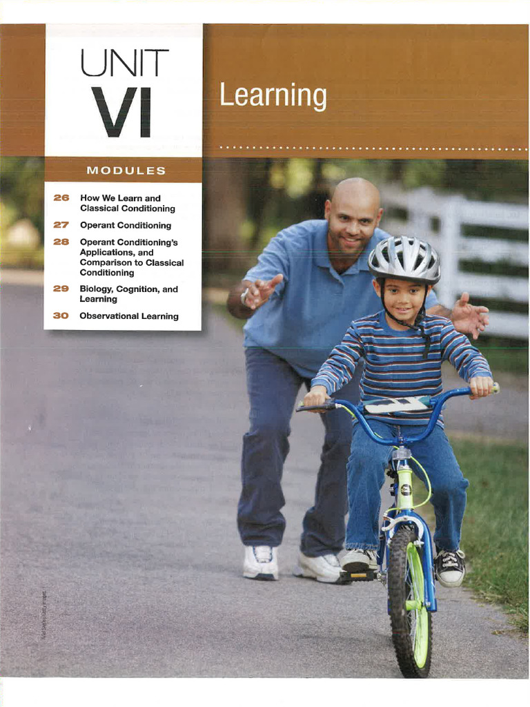 MYERS Psychology For The AP Course - 301-400 | PDF