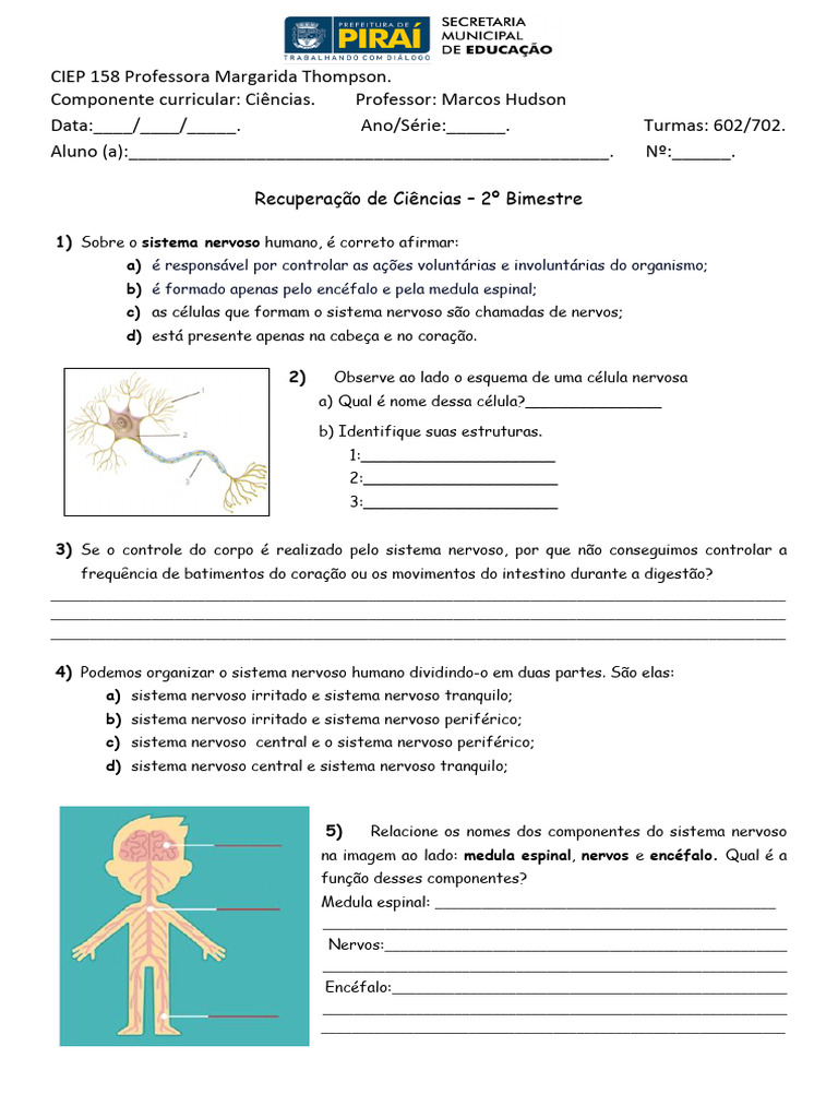 Rec Ciep 6º Ano - 2º Bim - Sistema Nervoso e Visão - 2024 | PDF ...