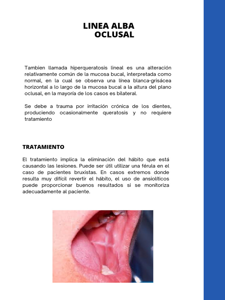 Documento Corporativo Profesional Informe Dossier Minimalista Sencillo ...