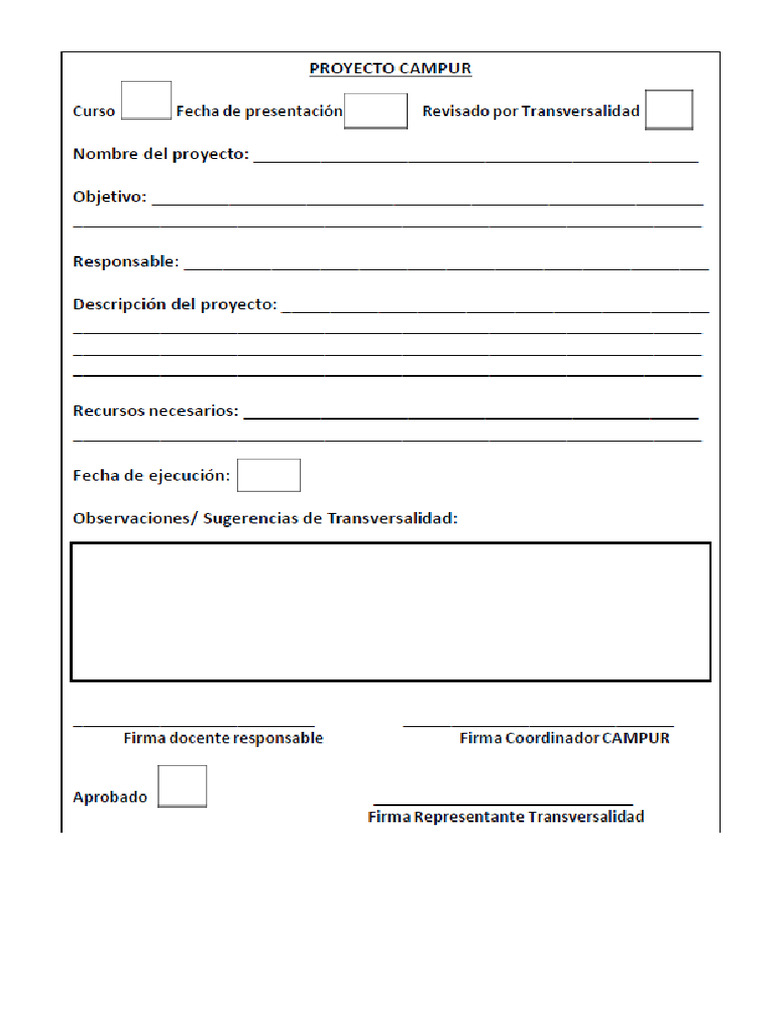 Formato Proyectos 1 | PDF