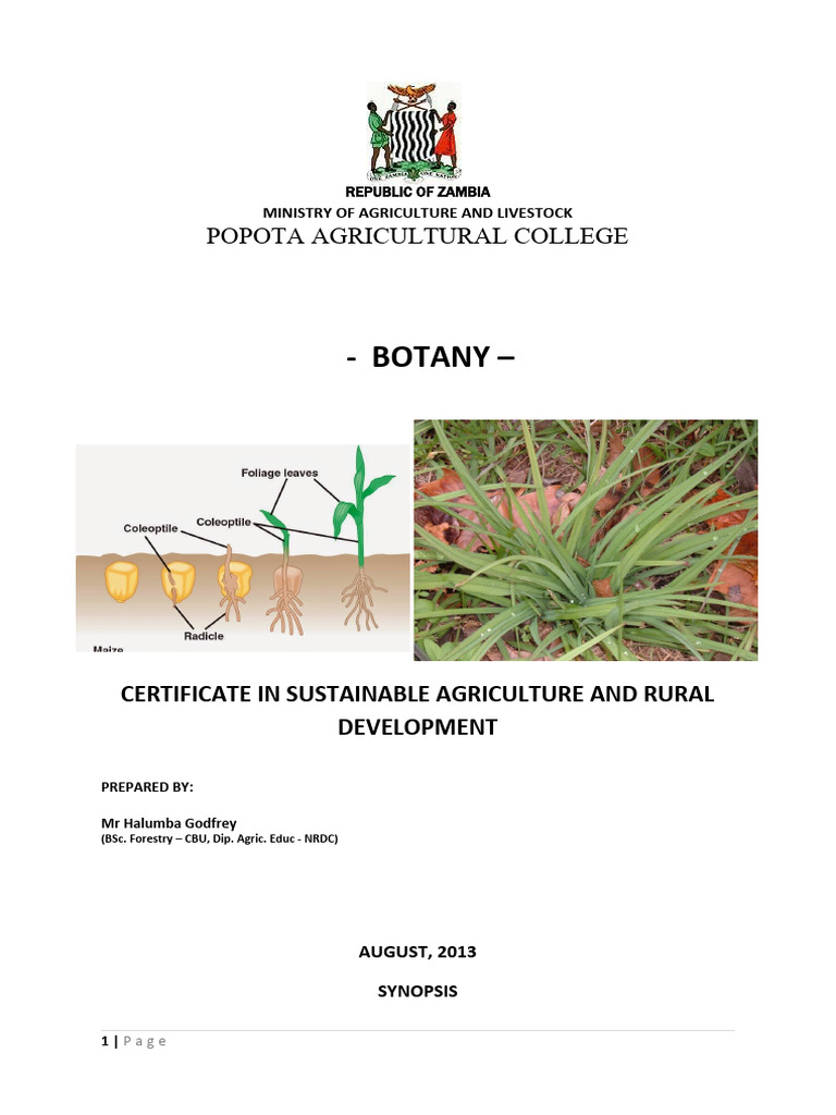 Botany_module_(1) | Download Free PDF | Leaf | Bacteria