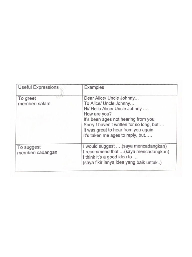 Useful Expressions | PDF