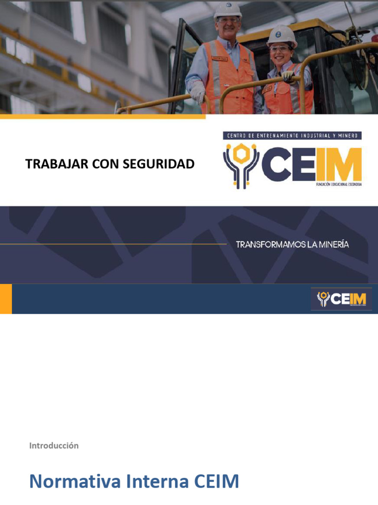 Trabajar Con Seguridad Unidad Tematica 03 CEIM 2020 V1 | PDF | Riesgo ...