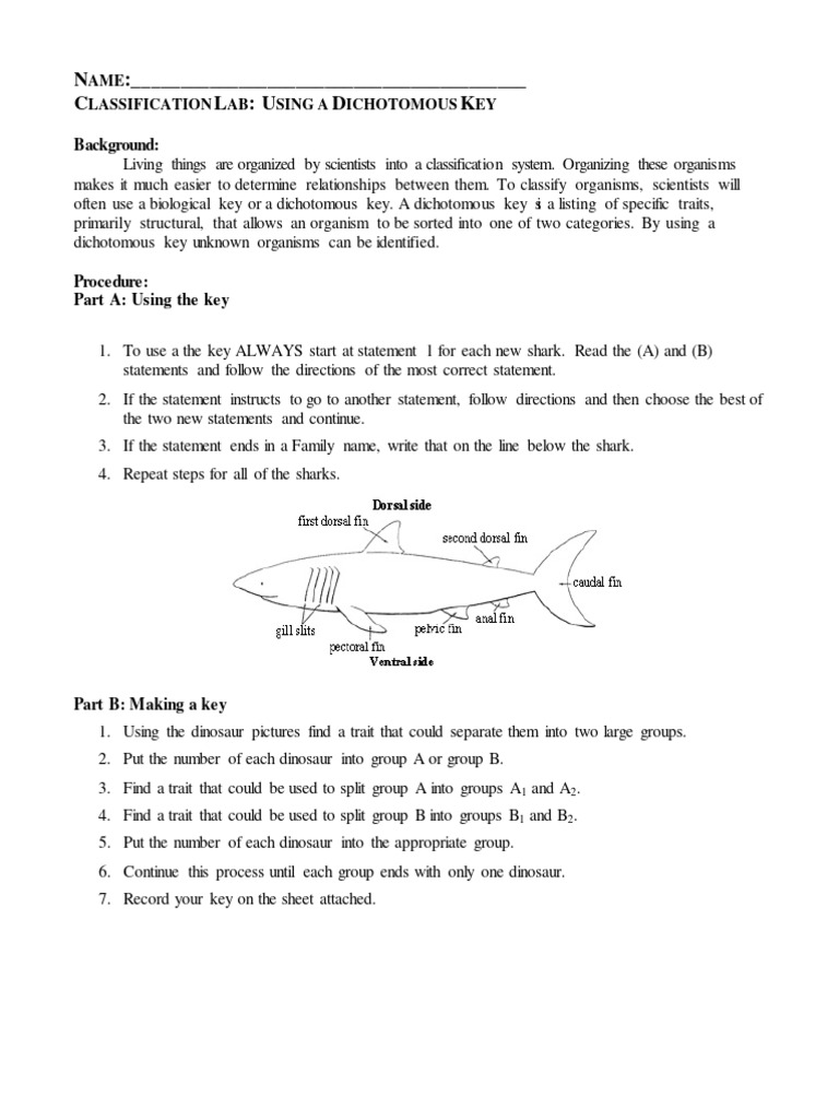 Classification - Dichotomous Key Practice | PDF | Taxonomy (Biology)