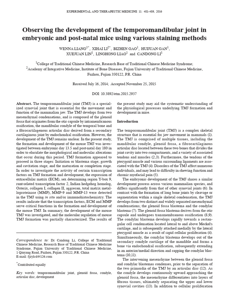 TMJ in Embryonic and Mice | PDF | Osteoblast | Anatomy