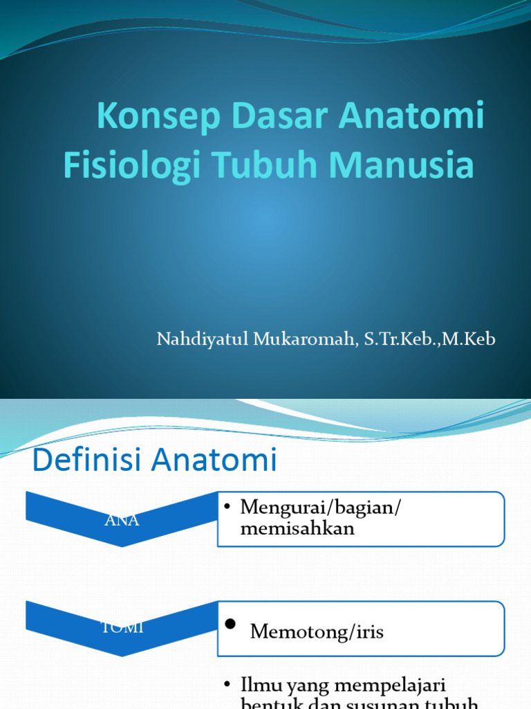 Konsep Dasar Anatomi Fisiologi Tubuh Manusia | PDF