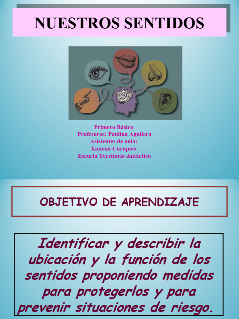 Clase de Ciencias LOS SENTIDOS | PDF