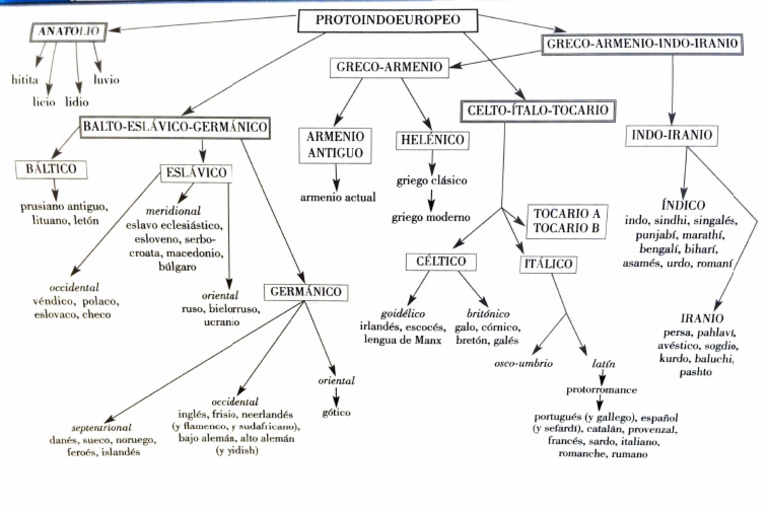 Árbol Genealógico Del Indoeuropeo | PDF | Lingüística | Lenguas de Europa