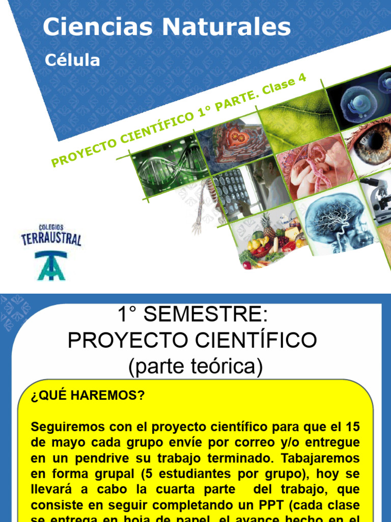 CCNN - Proyecto Cientã - Fico 1.parte - Clase 4 | PDF | Método científico | Observación