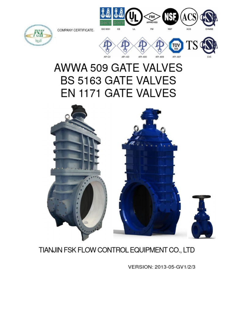 AWWA C509闸阀 | PDF | Valve | Corrosion