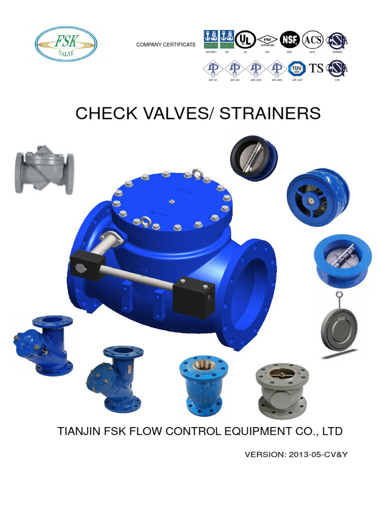 Check Valves and Strainers Overview | PDF | Steel | Alloy