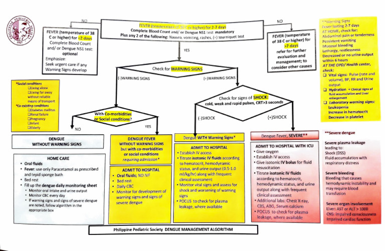 Pps Dengue Algorithm Pdf Shock Circulatory Medical Specialties