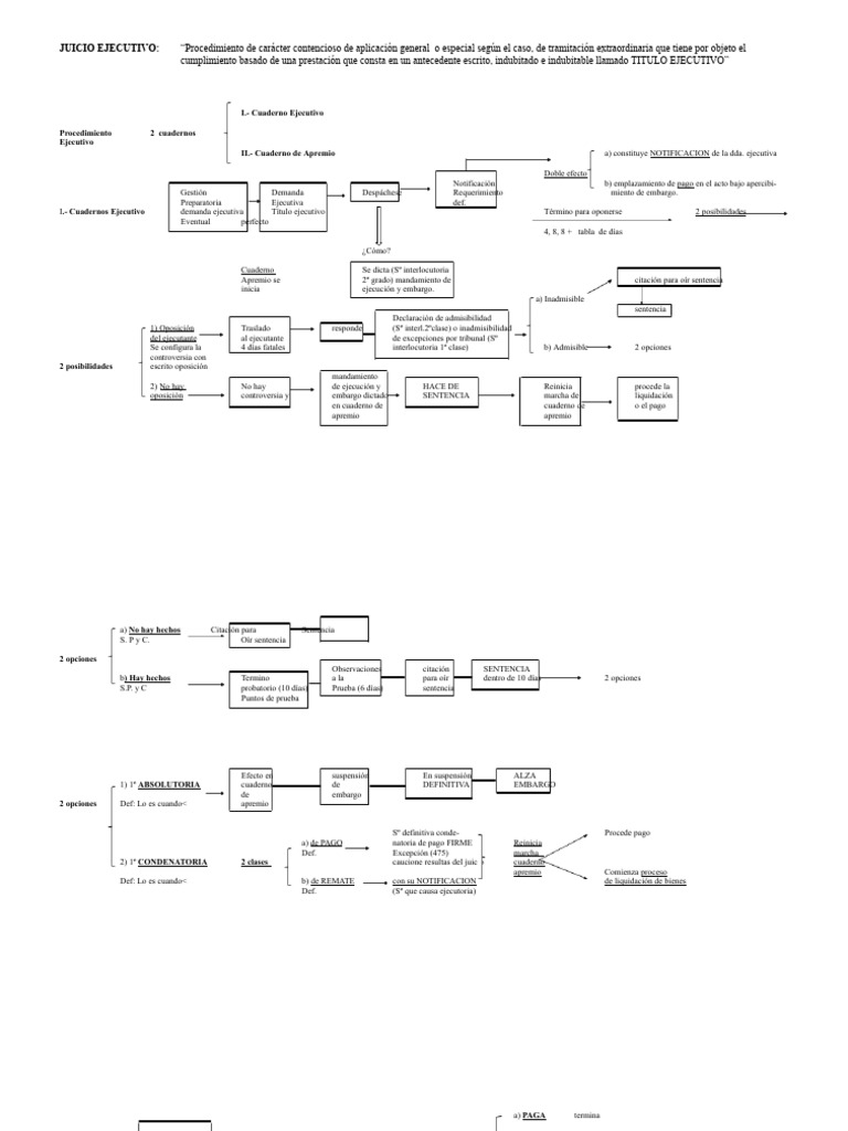 Apunte Juicio Ejecutivo Esquemas.doc | Descargar gratis PDF | Sentencia (ley) | Demanda judicial
