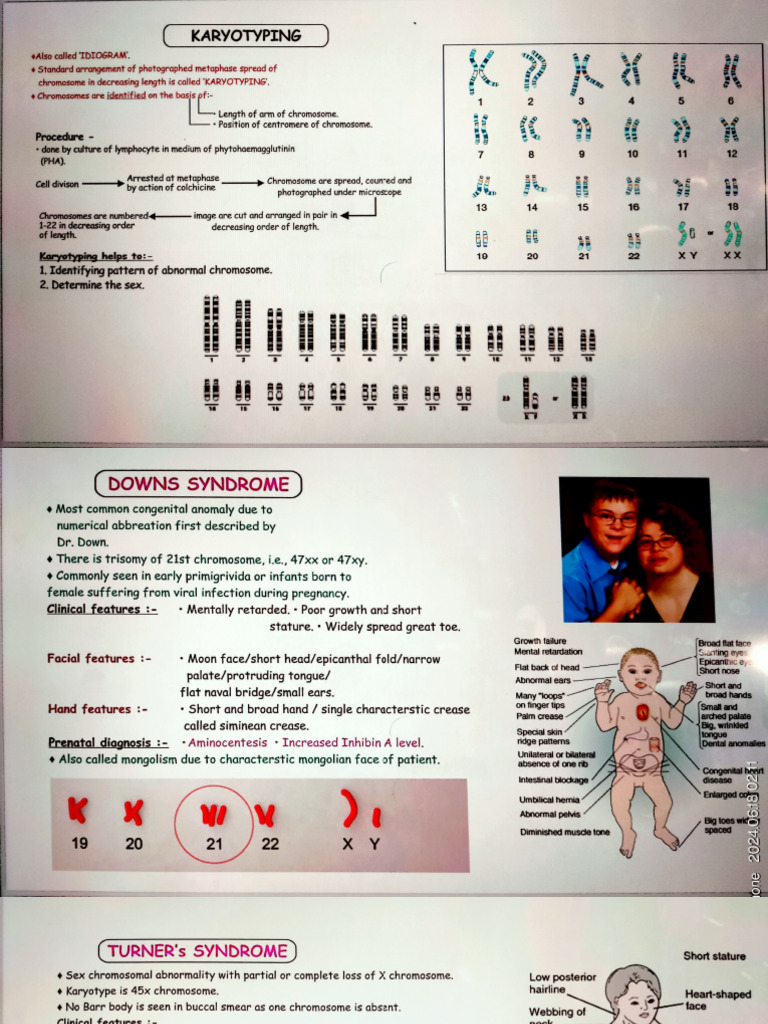 Human Genetics | PDF | Chromosome | Karyotype
