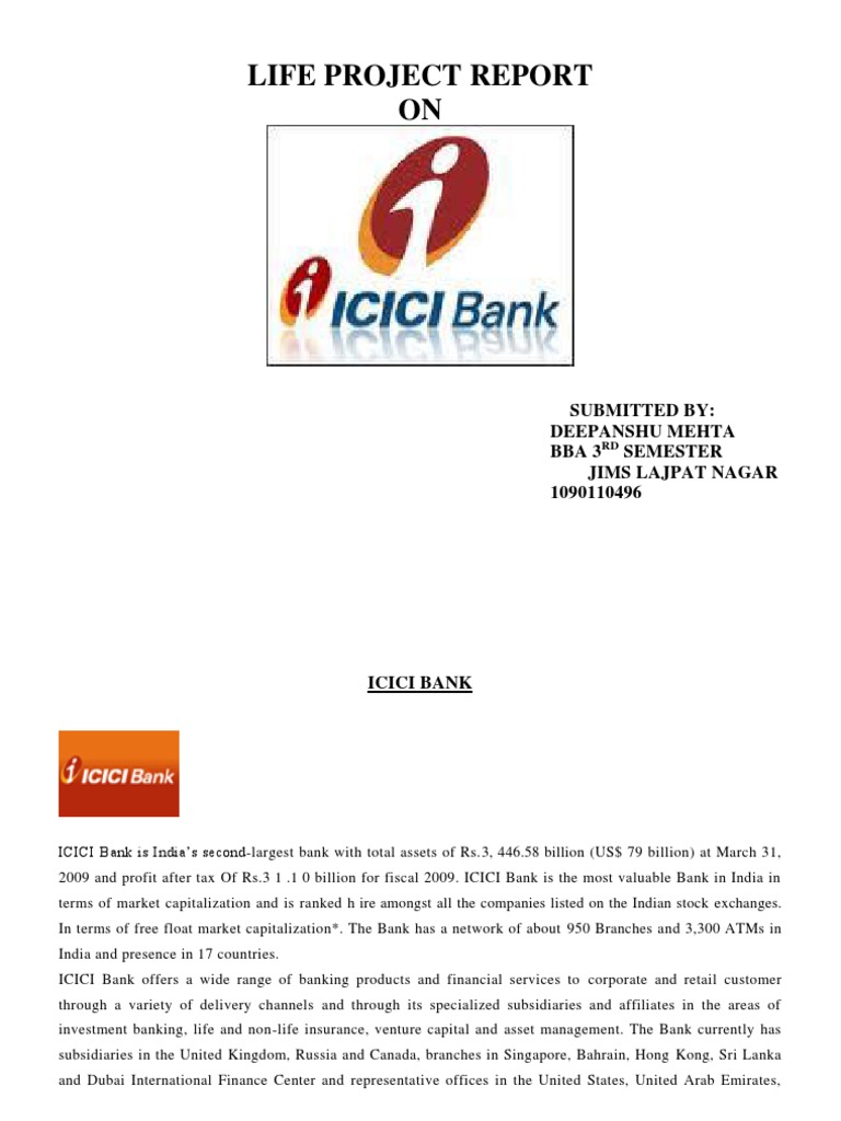 Life Project Report ON: Submitted By: Deepanshu Mehta Bba 3 Semester ...