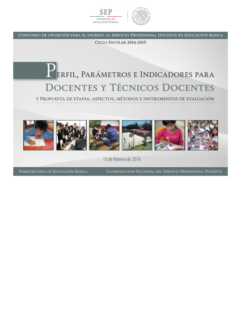 Perfil%2c parametros e indicadores | Descargar gratis PDF | Maestros ...